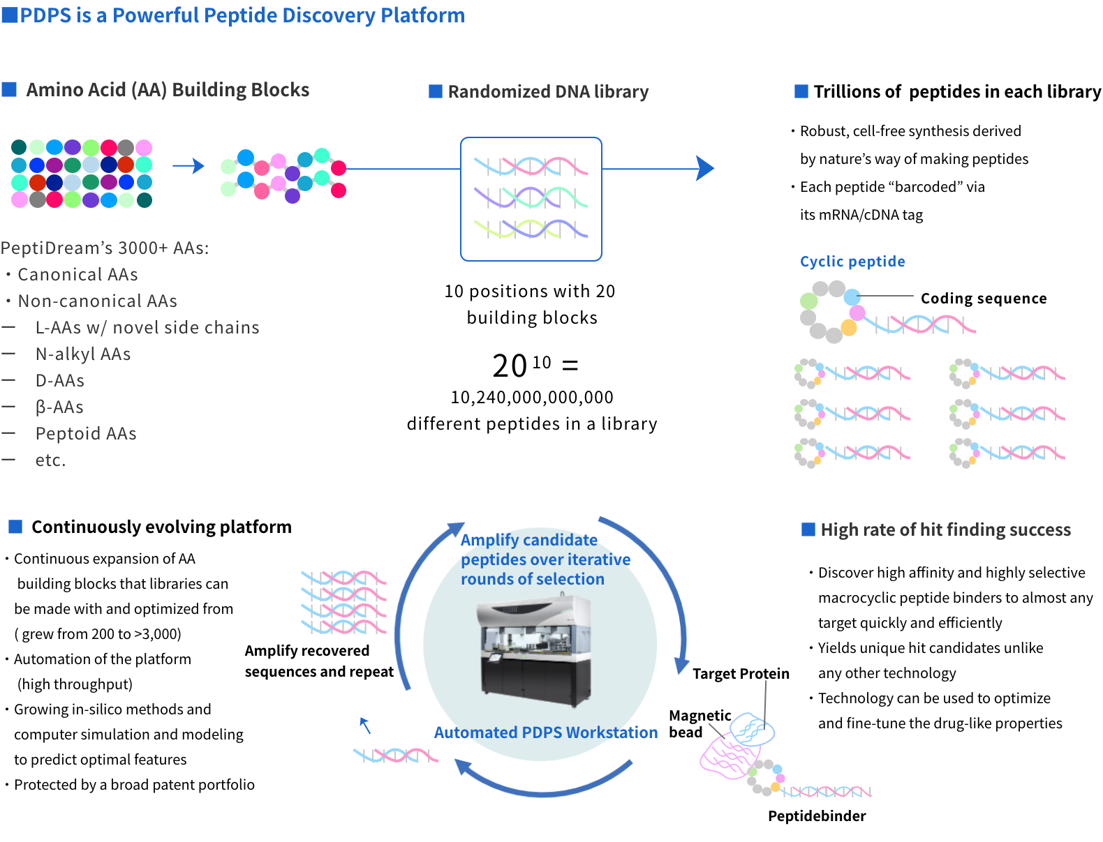 Proprietary Drug Discovery Platform - System(PDPS)｜PEPTIDREAM INC ペプチドリーム株式会社