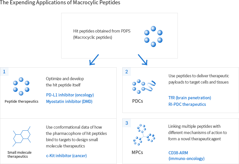 Business Model｜PEPTIDREAM INC ペプチドリーム株式会社