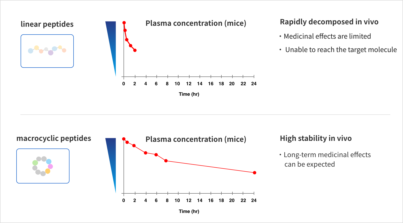Evolution of Peptide Drugs｜PEPTIDREAM INC ペプチドリーム株式会社