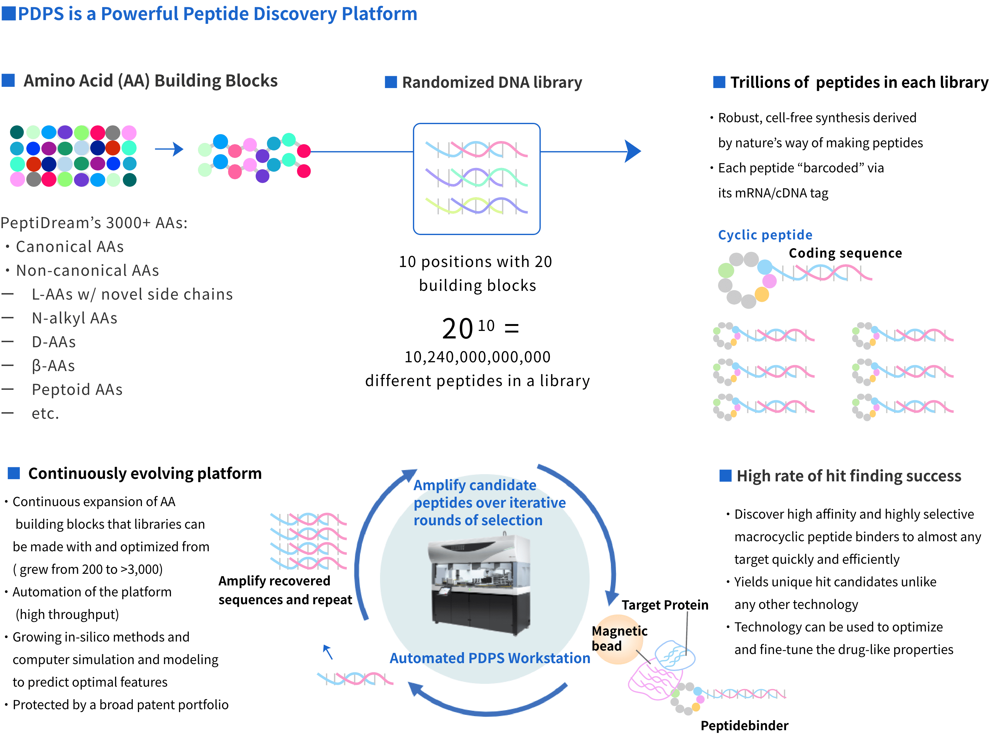 Proprietary Drug Discovery Platform - System(PDPS)｜PEPTIDREAM INC ペプチド ...